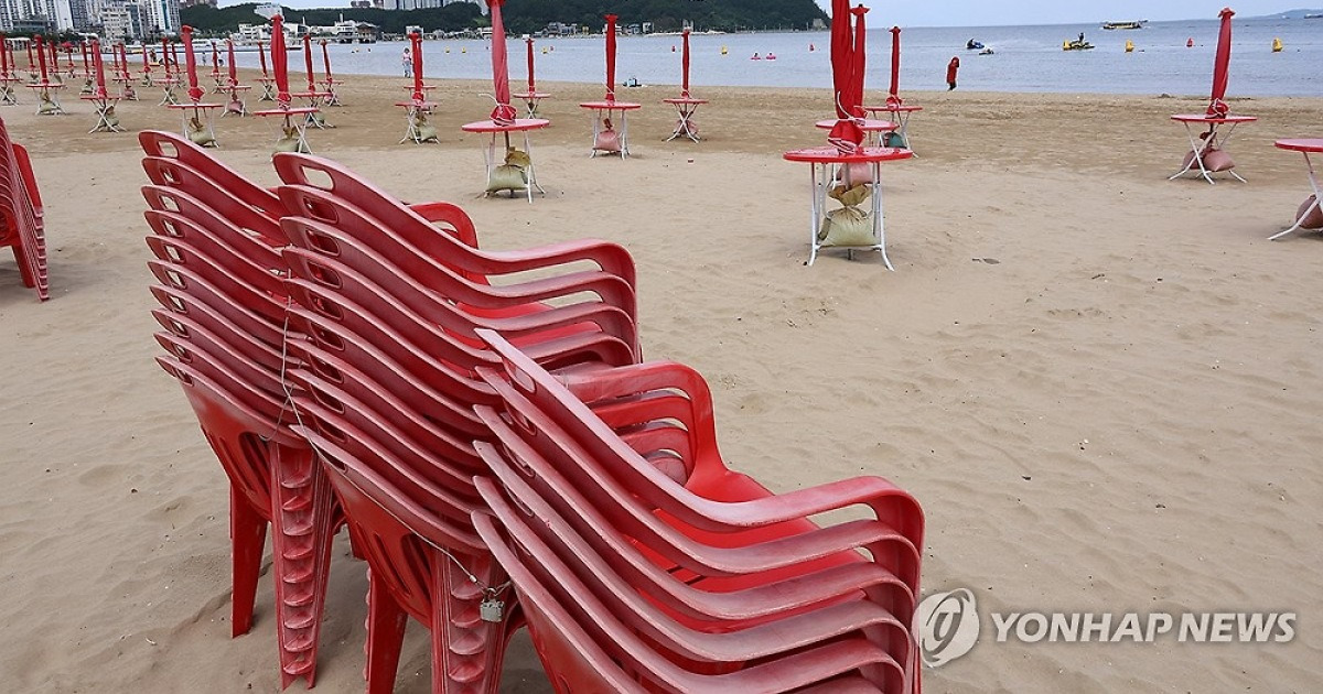 경북 동해안 해수욕장 피서객 24 감소…해파리 폭우 영향