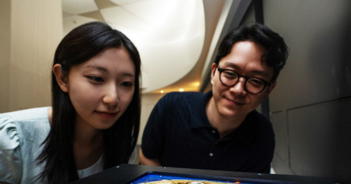 삼성D·LGD, 'IMID 2024'서 기술력 뽐내…대상 수상