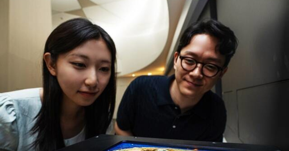 삼성·LG, IMID서 차세대 디스플레이 공개…고무처럼 늘어나고 화질 극대화