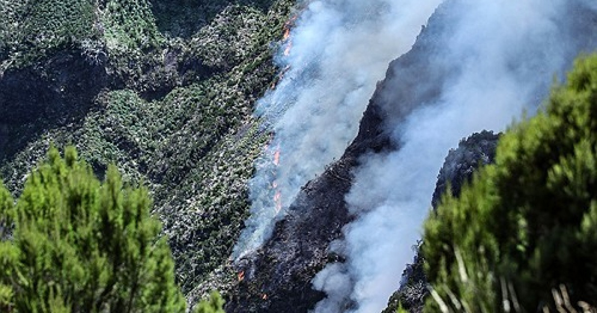 PORTUGAL MADEIRA FIRE