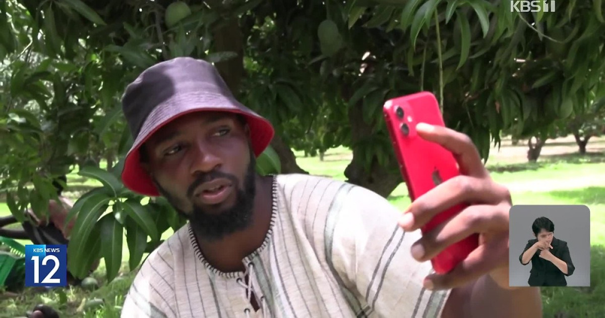 세네갈, SNS로 매출 올리는 젊은 농민들