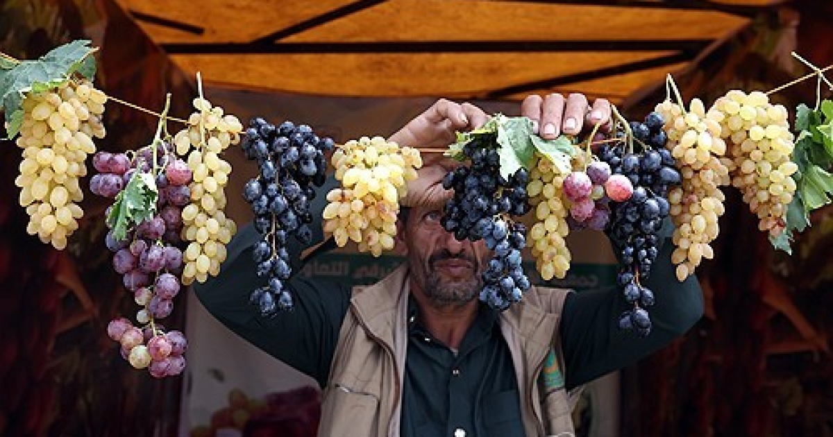 YEMEN FRUIT FAIR