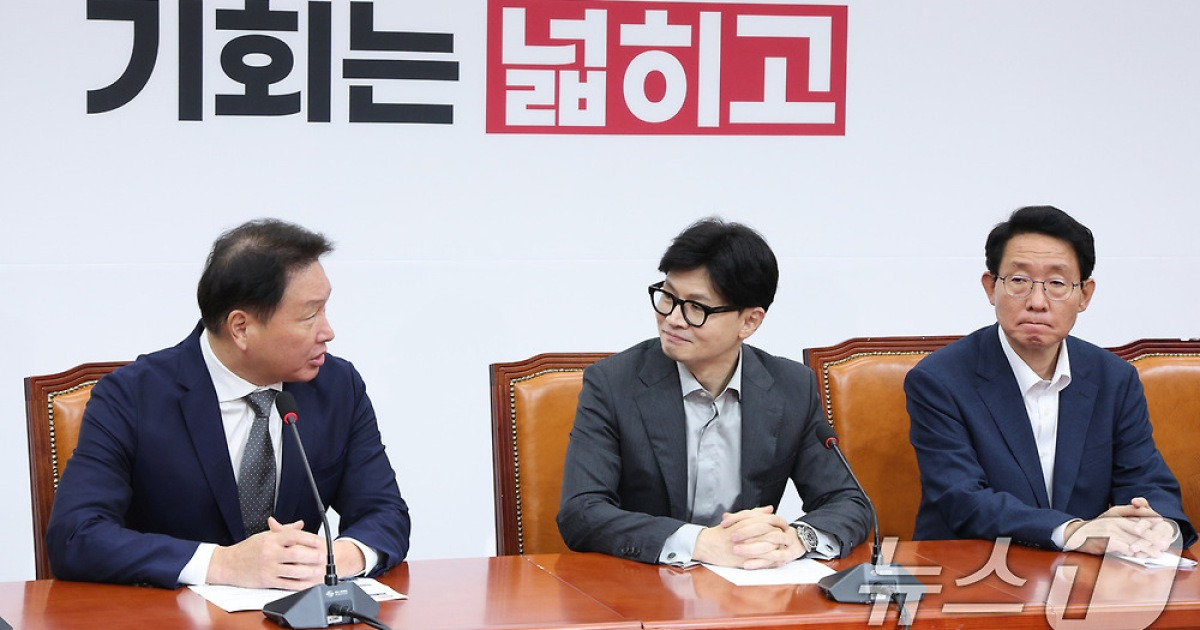 최태원 경제올림픽 메달 딸 수 있게 도와달라 종합