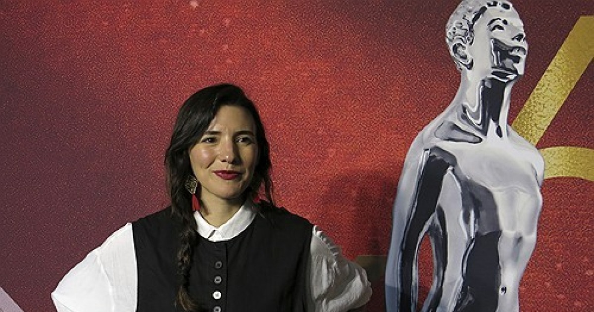 Mexico Ariel Awards Nominees