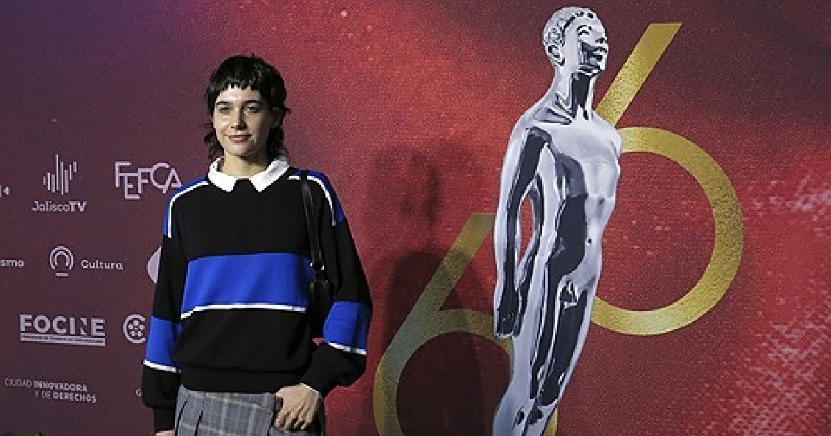 Mexico Ariel Awards Nominees