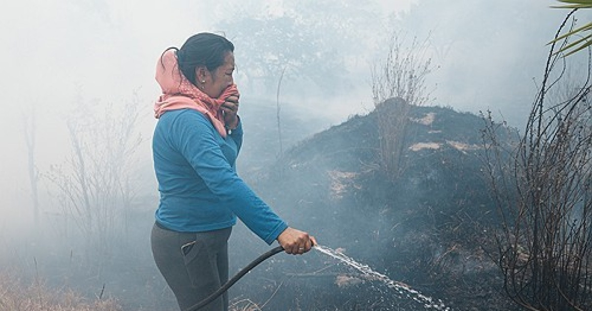 Ecuador Forest Fires