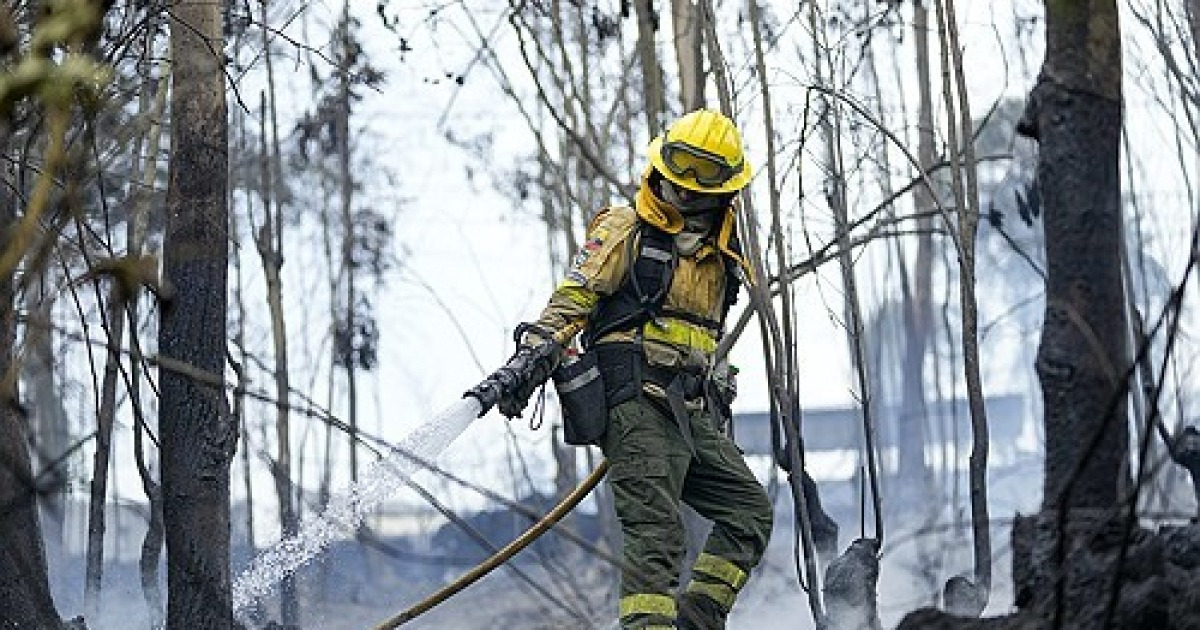 Ecuador Forest Fires