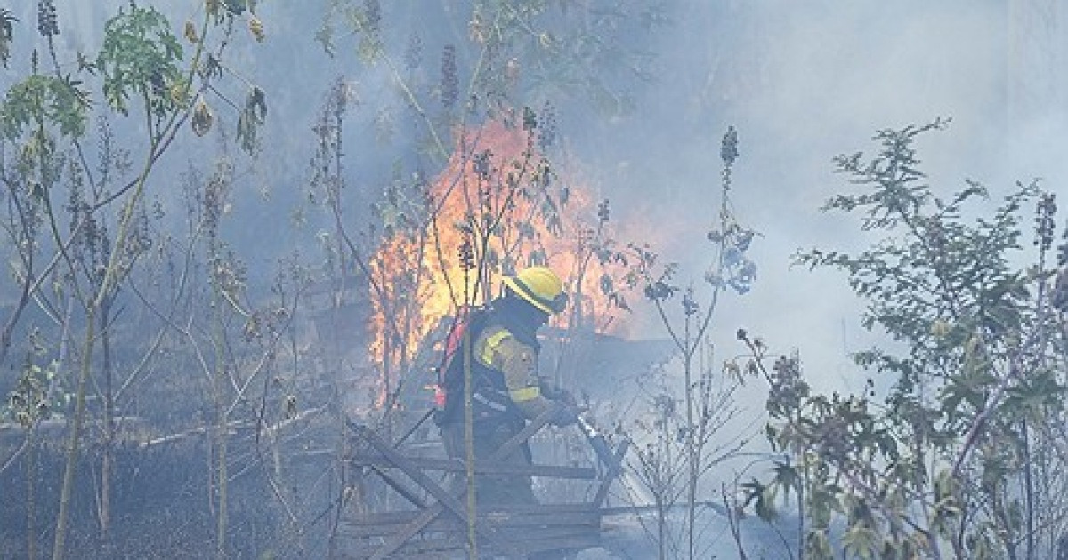 Ecuador Forest Fires
