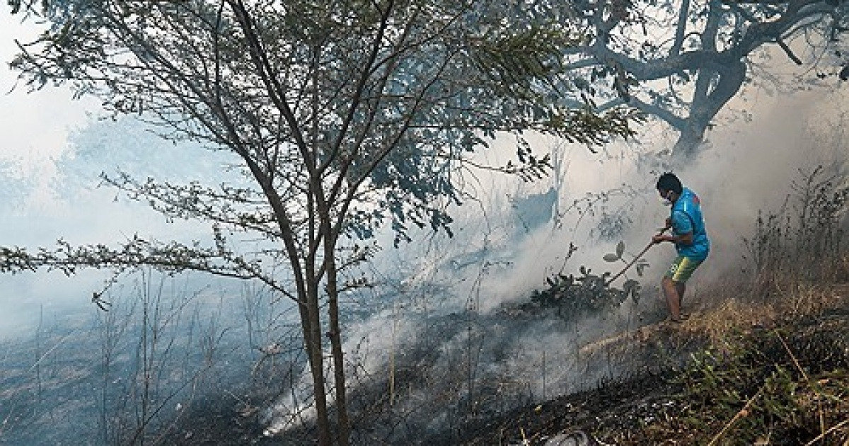 APTOPIX Ecuador Forest Fires
