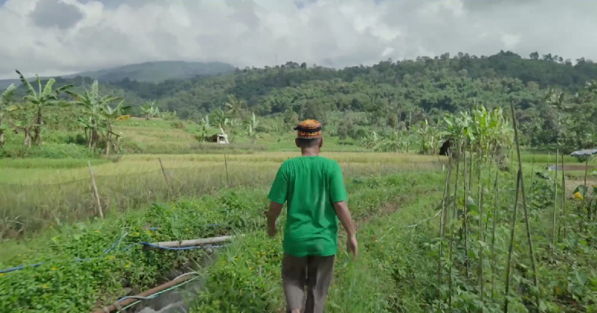 Jeju Biennale to reveal history of 'drifting'