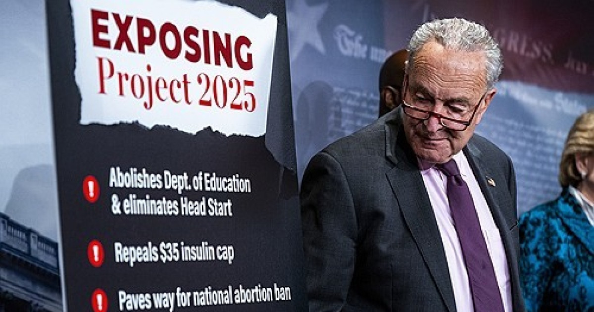 USA SENATE PROJECT 2025