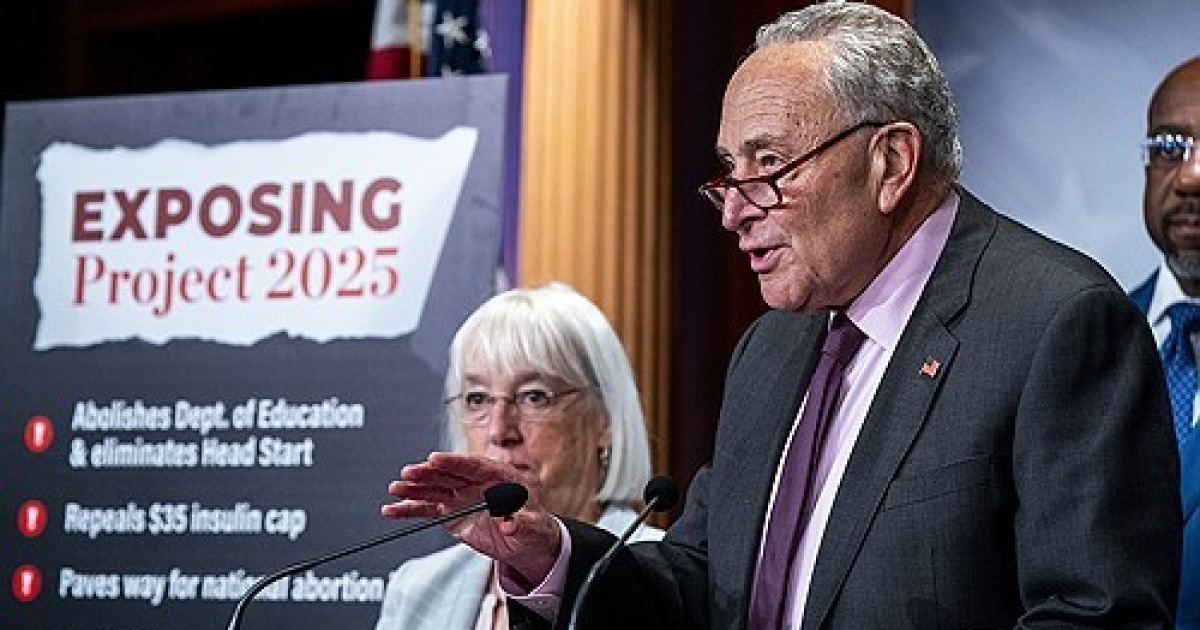 USA SENATE PROJECT 2025