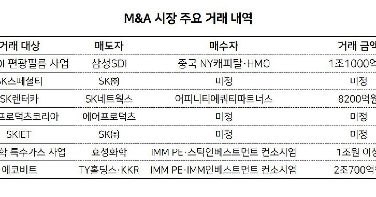삼성·SK 사업 구조조정 속도, 숨고르는 SI 탐색모드 PEF [주간 '딜'리버리]