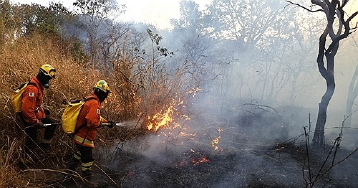 Brazil Forest Fires