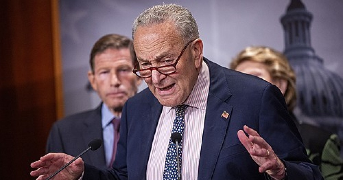 USA SENATE PROJECT 2025