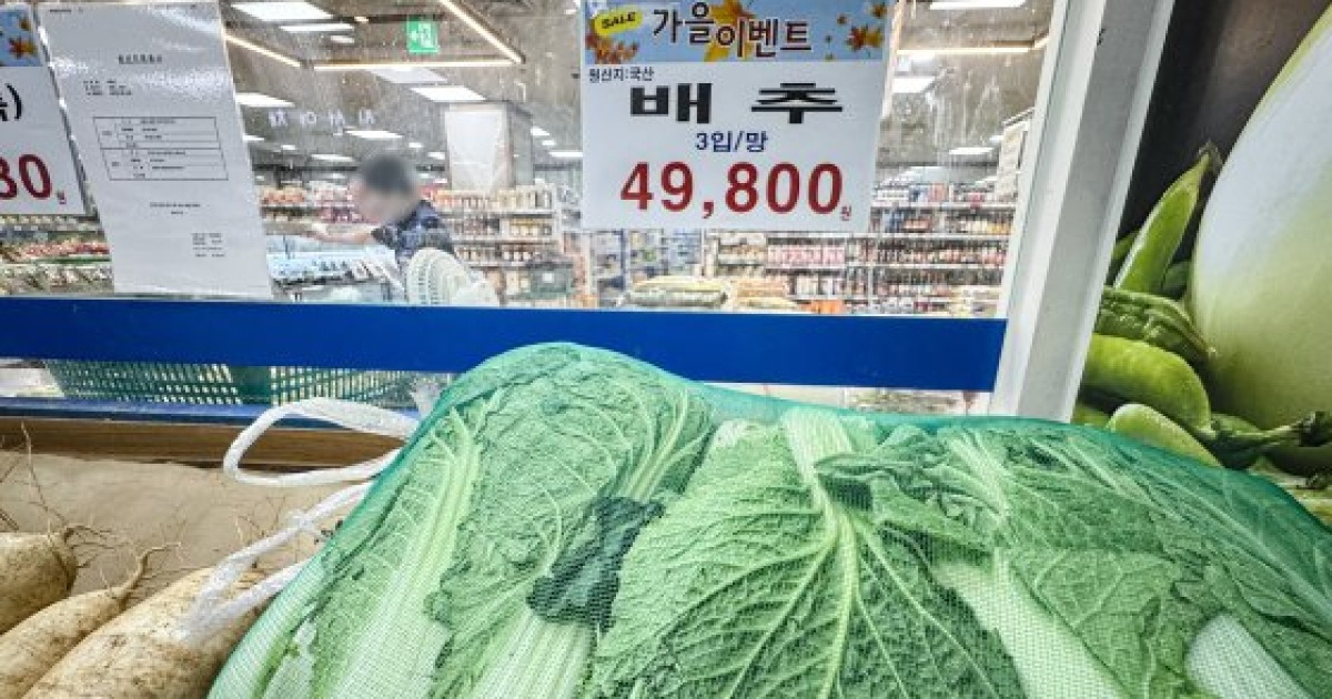 배추 한포기가 ‘배춧잎 한장…정부 중국서 긴급 수입한다