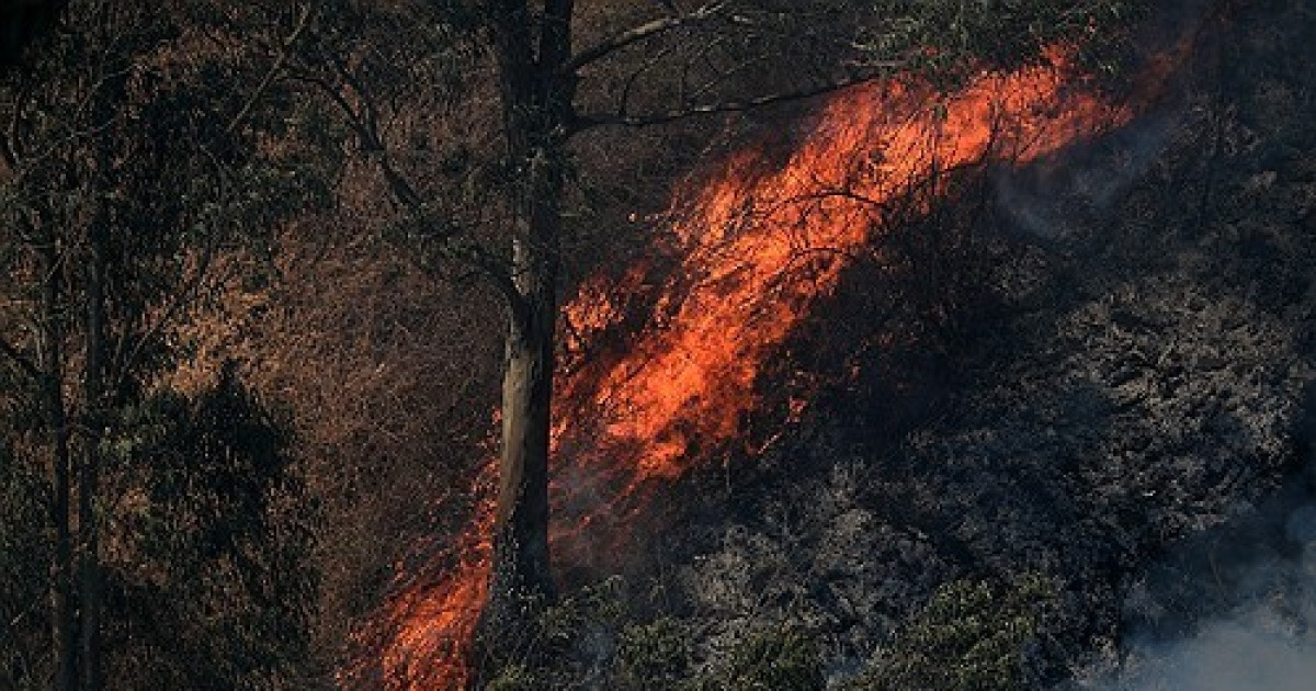 ECUADOR FIRES