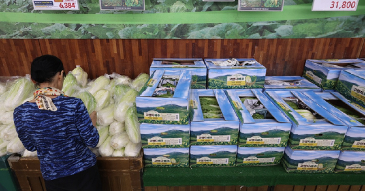 Cabbage prices to rise after blistering summer