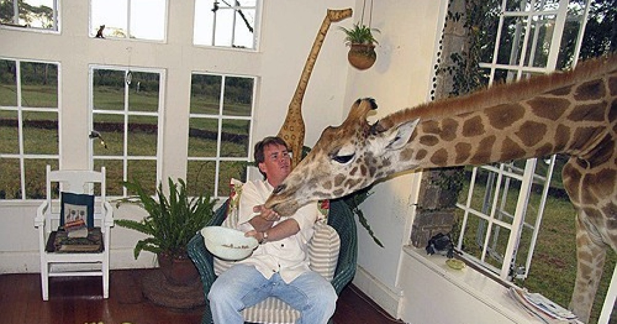 Hurricane Helene Tree Death