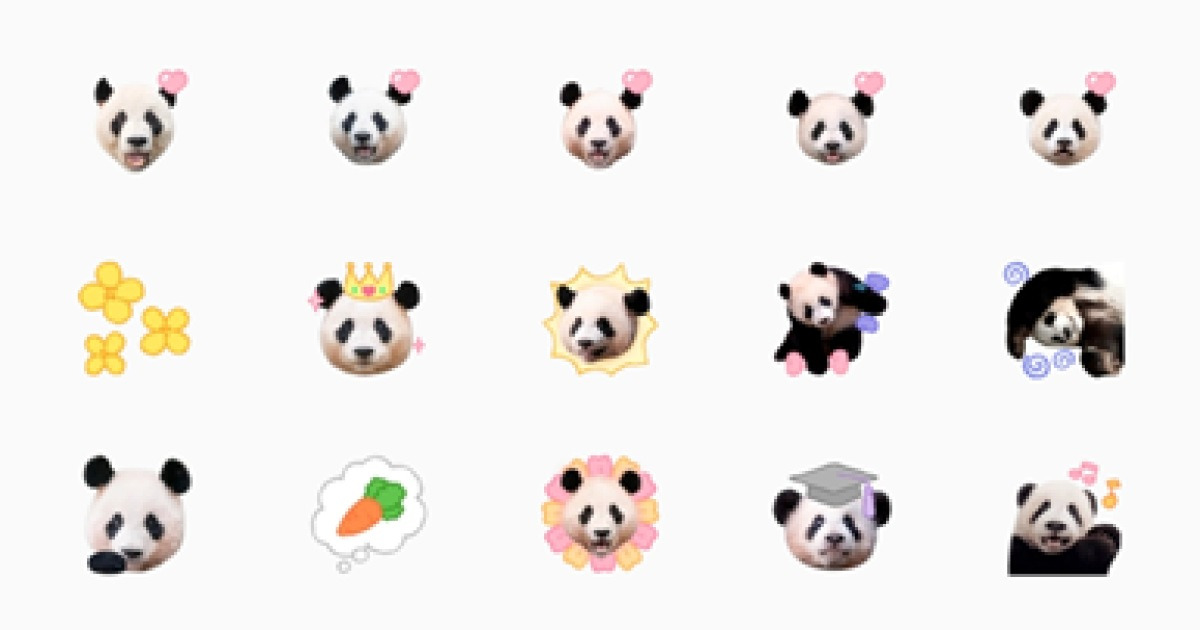 에버랜드, '쪼꼬미 판다' 카카오 이모티콘 인기
