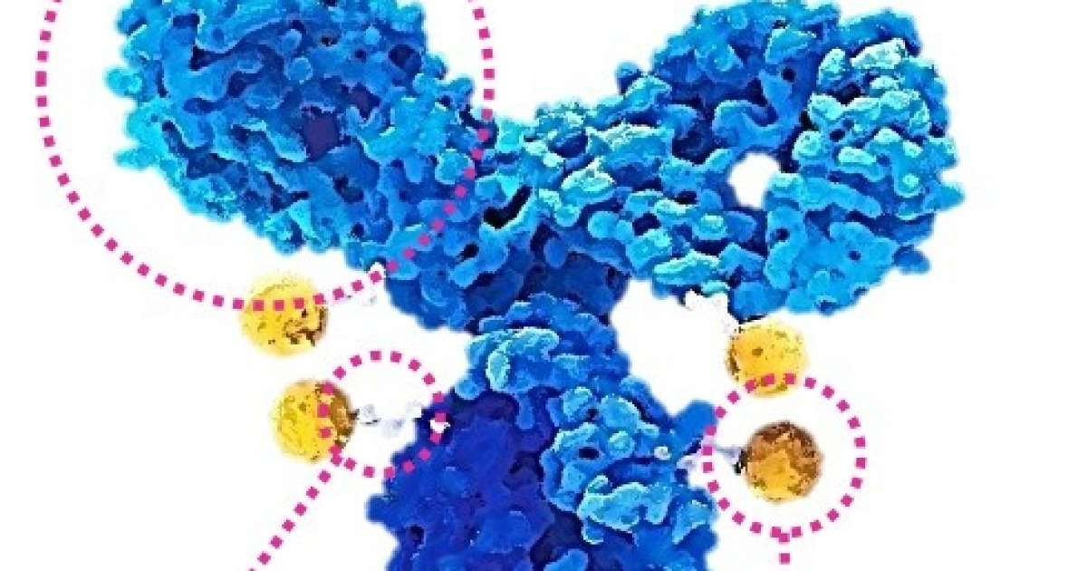 머크, 첫 자체 개발 ADC 'M9140' 1상 국내 환자모집 개시