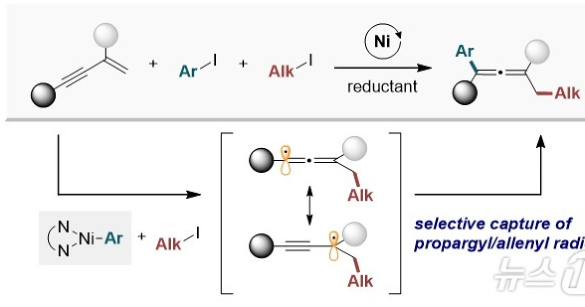 UNIST, 신약 개발 핵심 '알렌' 안전하고 간단한 합성법 찾았다