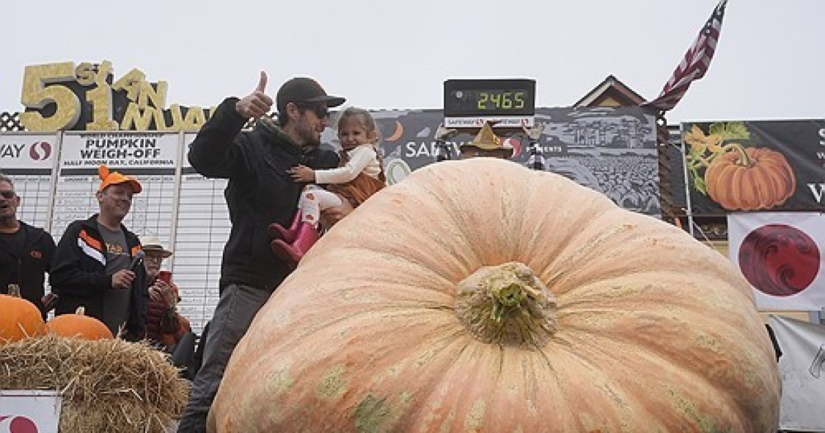 Great Pumpkin Winner