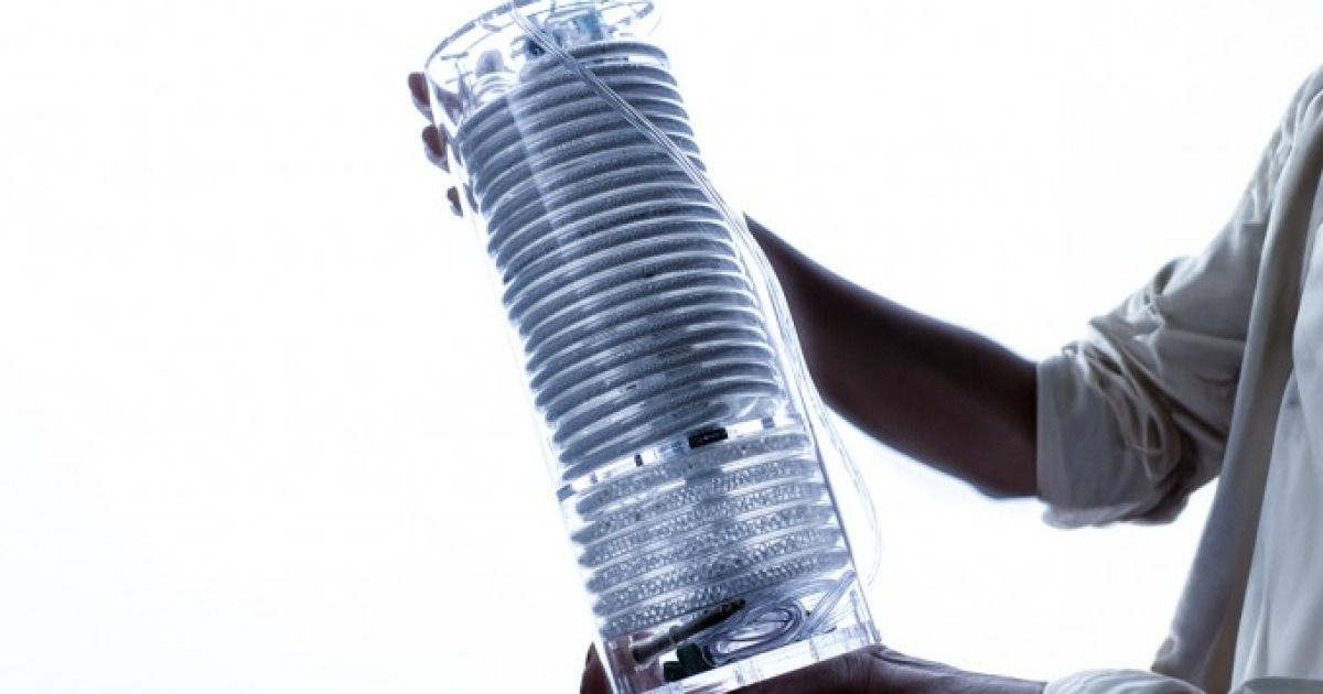 [과기원NOW] KAIST 개발 산소 발생기, '다이슨 어워드' 탑 20 선정 外