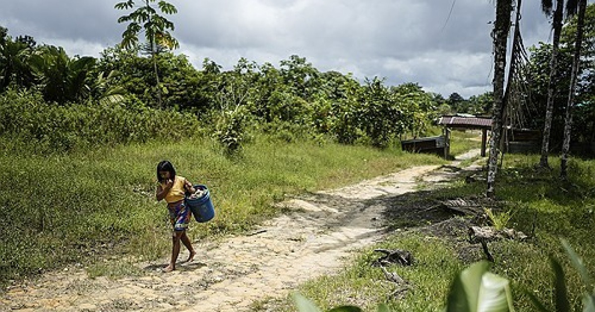 Climate COP16 Colombia Reforestation