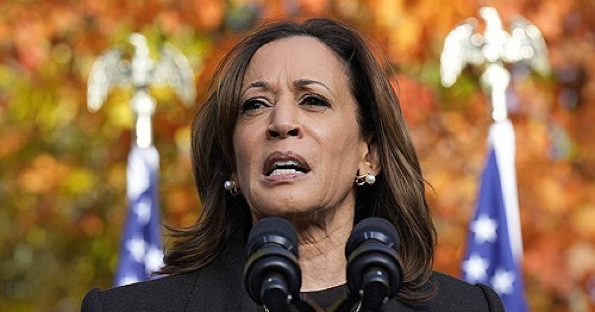 Election 2024 Harris