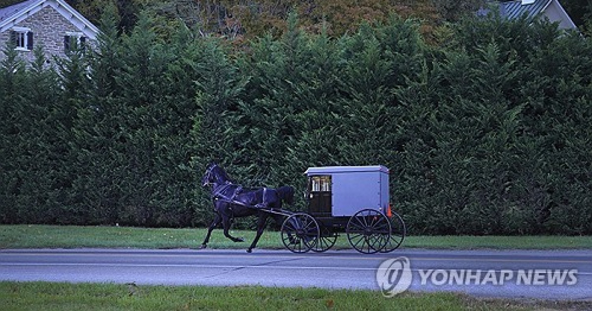 Election 2024 Pennsylvania's Amish