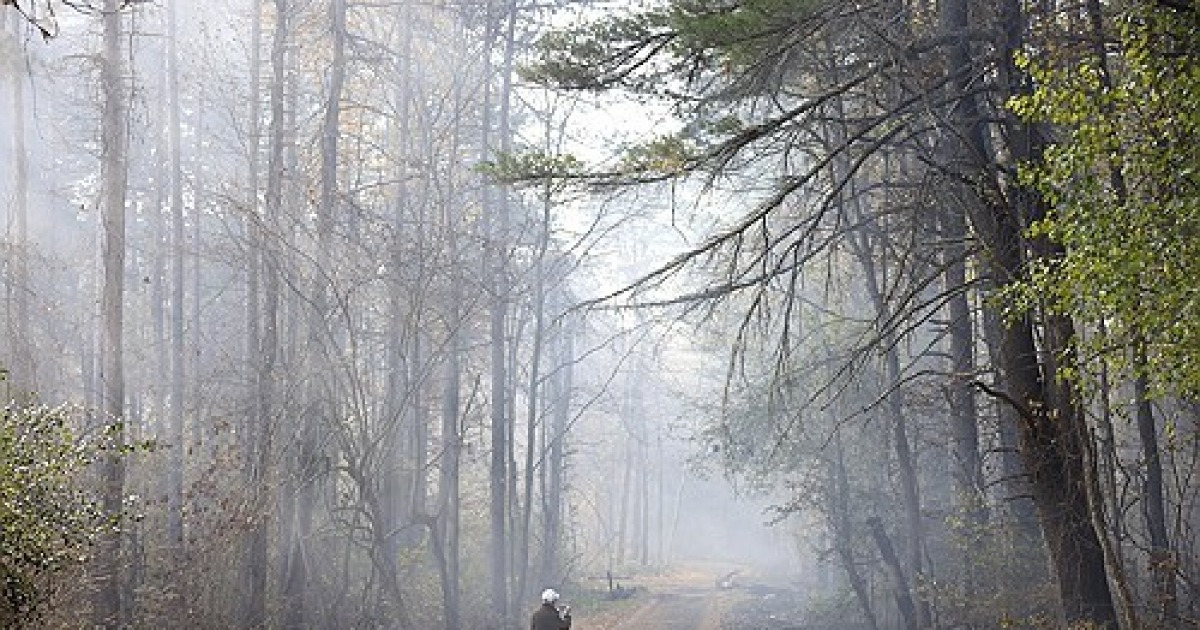 Massachusetts Brush Fire