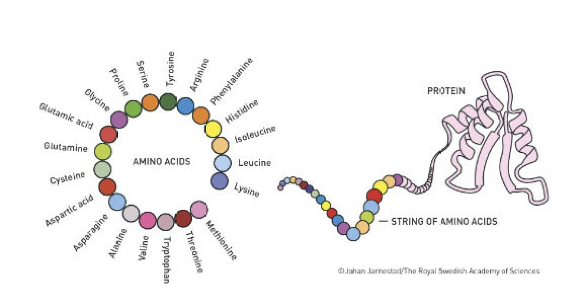 [IITP 리뷰원] 헬스케어 산업 핵심 엔진으로 부상하는 AI