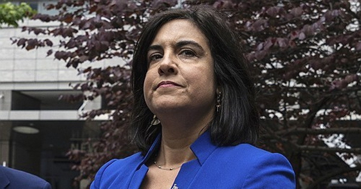 Election 2024 House New Yokk