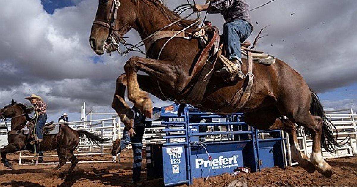 APTOPIX Election 2024 Arizona Native American Vote