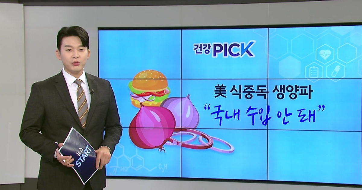 [건강PICK] '1명 사망' 美 맥도날드 식중독 원인 생양파..."국내 안 들어와"