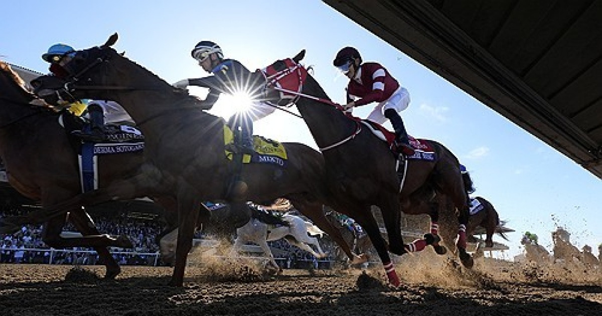 Breeders Cup Classic Horse Racing