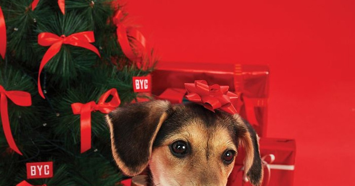 BYC, 24 FW 개리야스 신제품 사전예약 조기마감