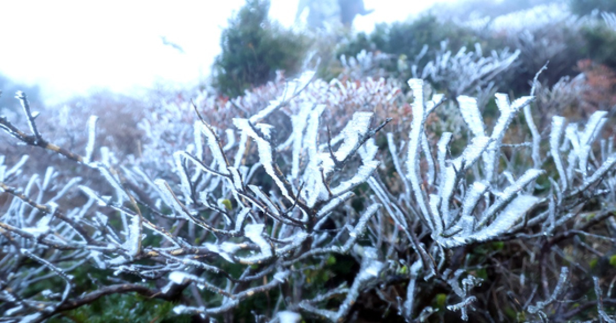 First frost of autumn appears as Korea sees chilly Wednesday morning