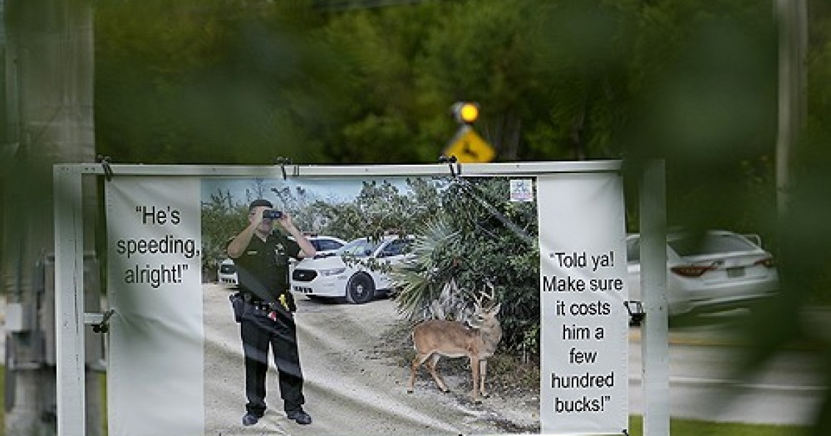 Climate Florida Key Deer
