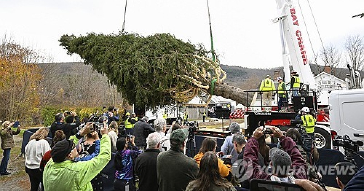 2024 Rockefeller Center Christmas Tree Cutting