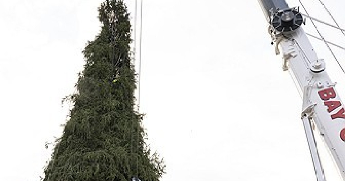 2024 Rockefeller Center Christmas Tree Cutting