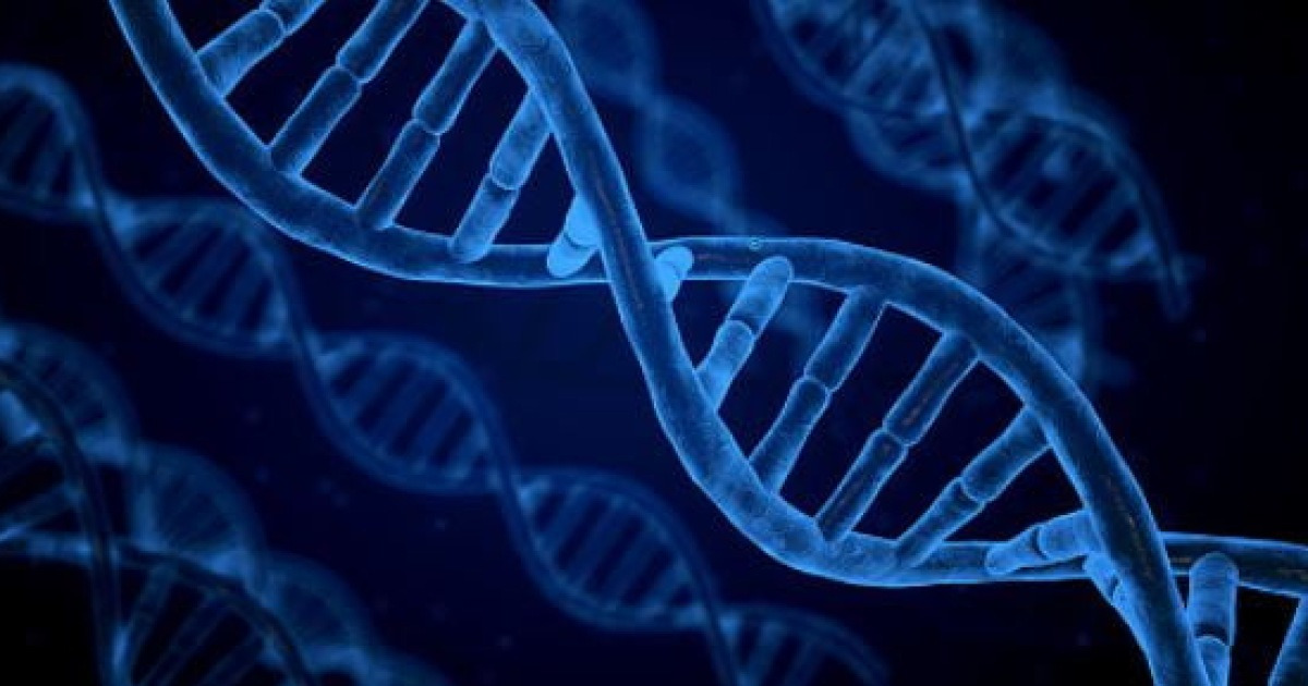 엔젠바이오, 서울아산병원과 NGS 데이터 관리 시스템 상용화