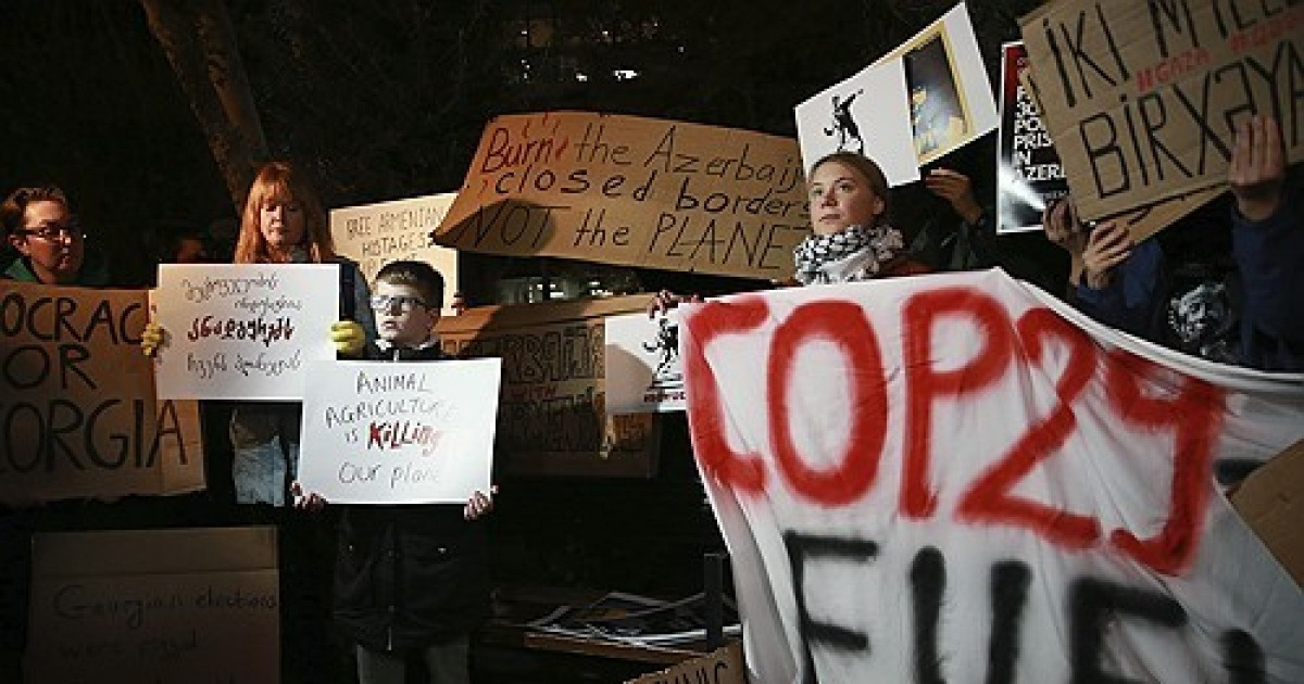 Georgia COP29 Climate Protest