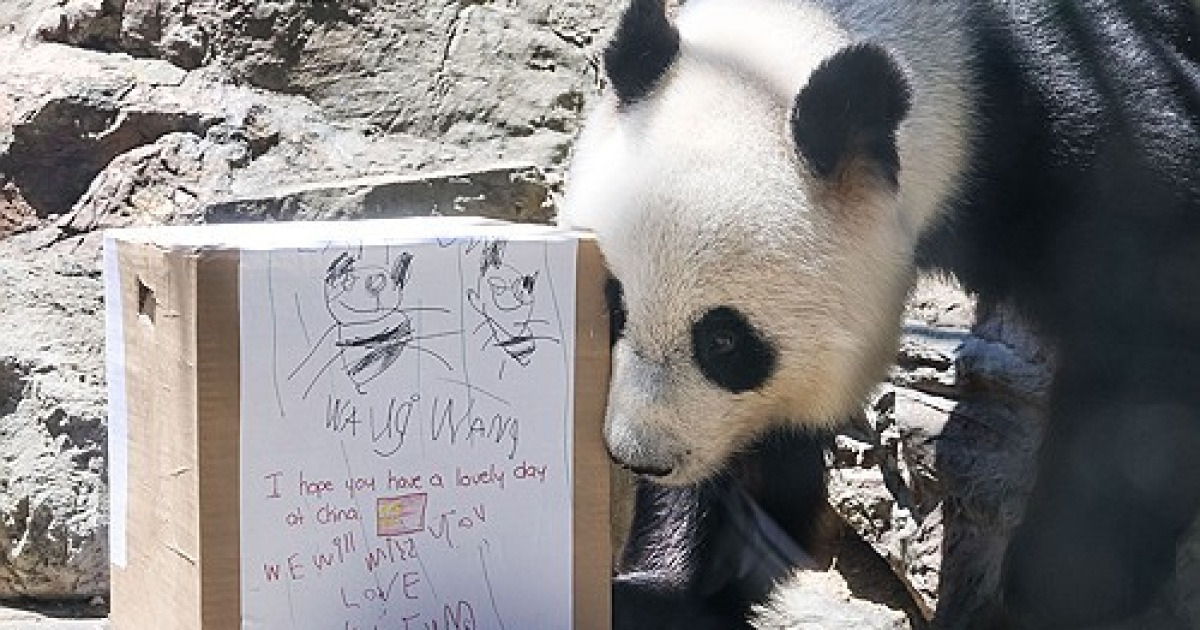 AUSTRALIA ANIMALS ADELAIDE ZOO