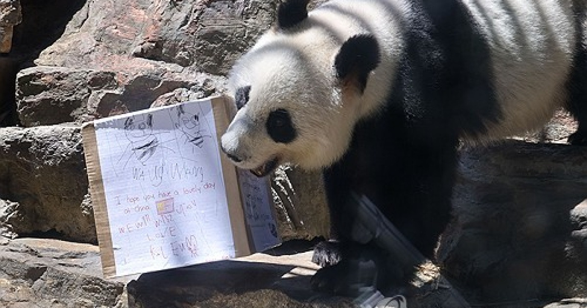 AUSTRALIA ANIMALS ADELAIDE ZOO