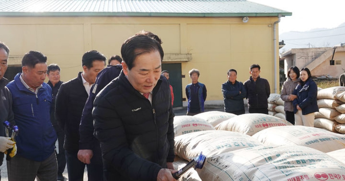 창녕군, 공공비축미곡 건조벼 6221t 매입…품종은 '이것'