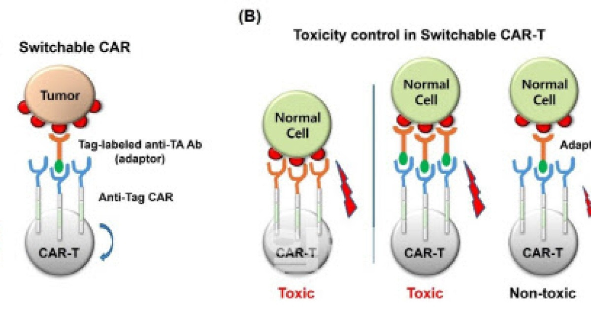 티카로스, ‘Switchable CAR-T’ 기술 네이처 커뮤니케이션스 게재