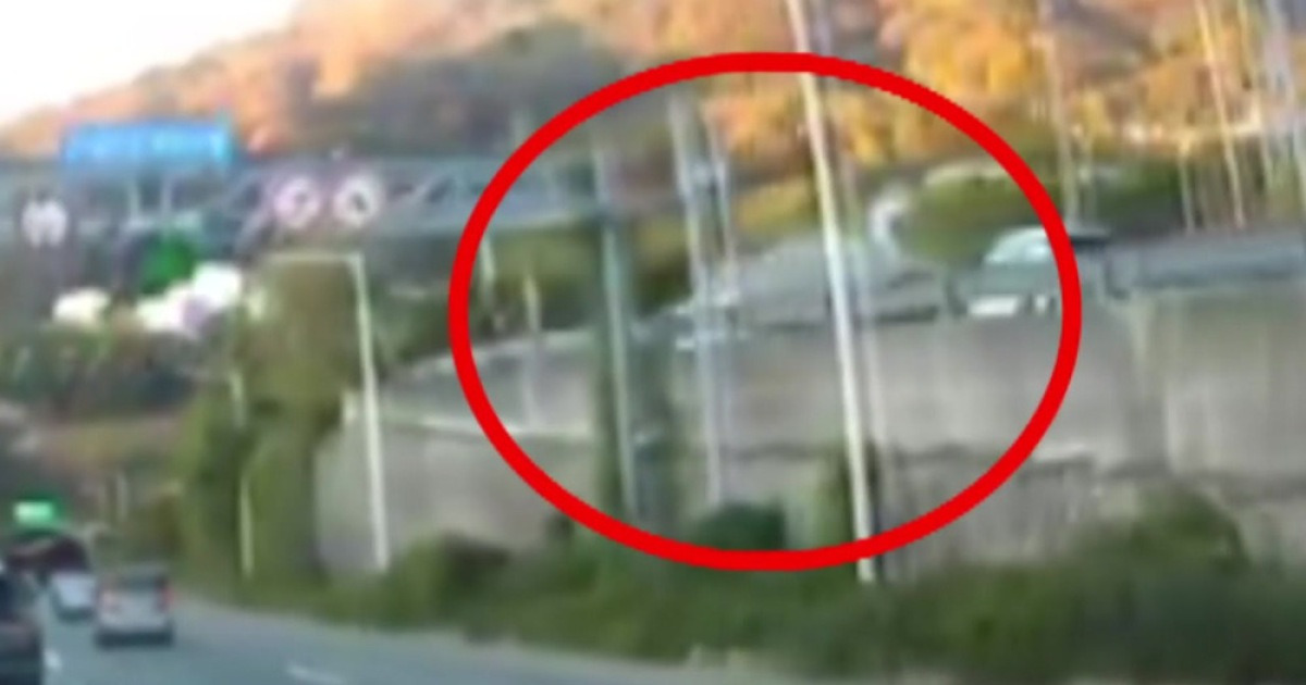 5m 아래 도로로 추락한 4.5t 화물차...운전자 숨져