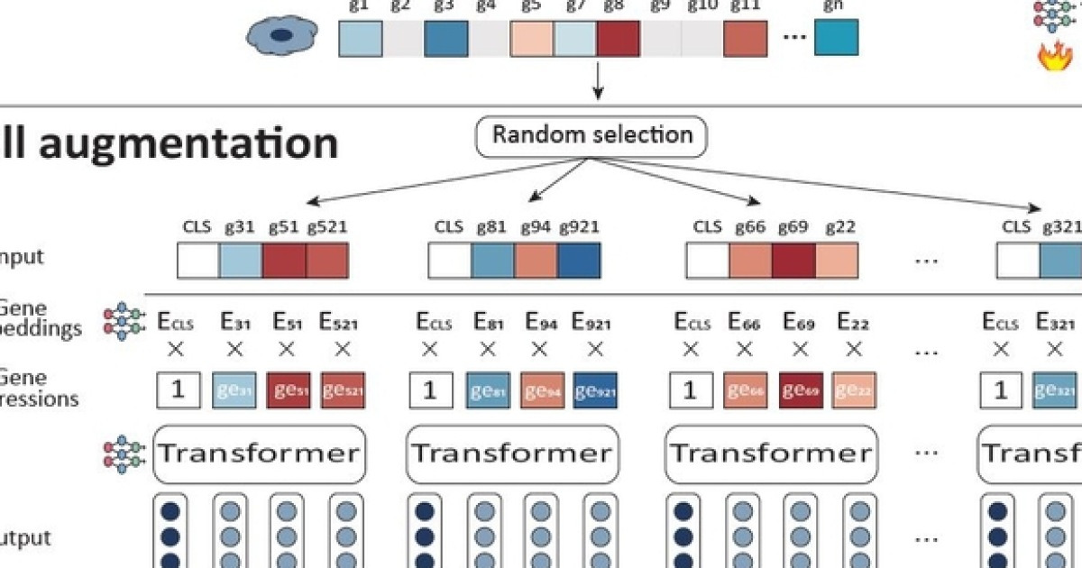 GIST, AI 기술로 단일세포 분석 새로운 패러다임 제시